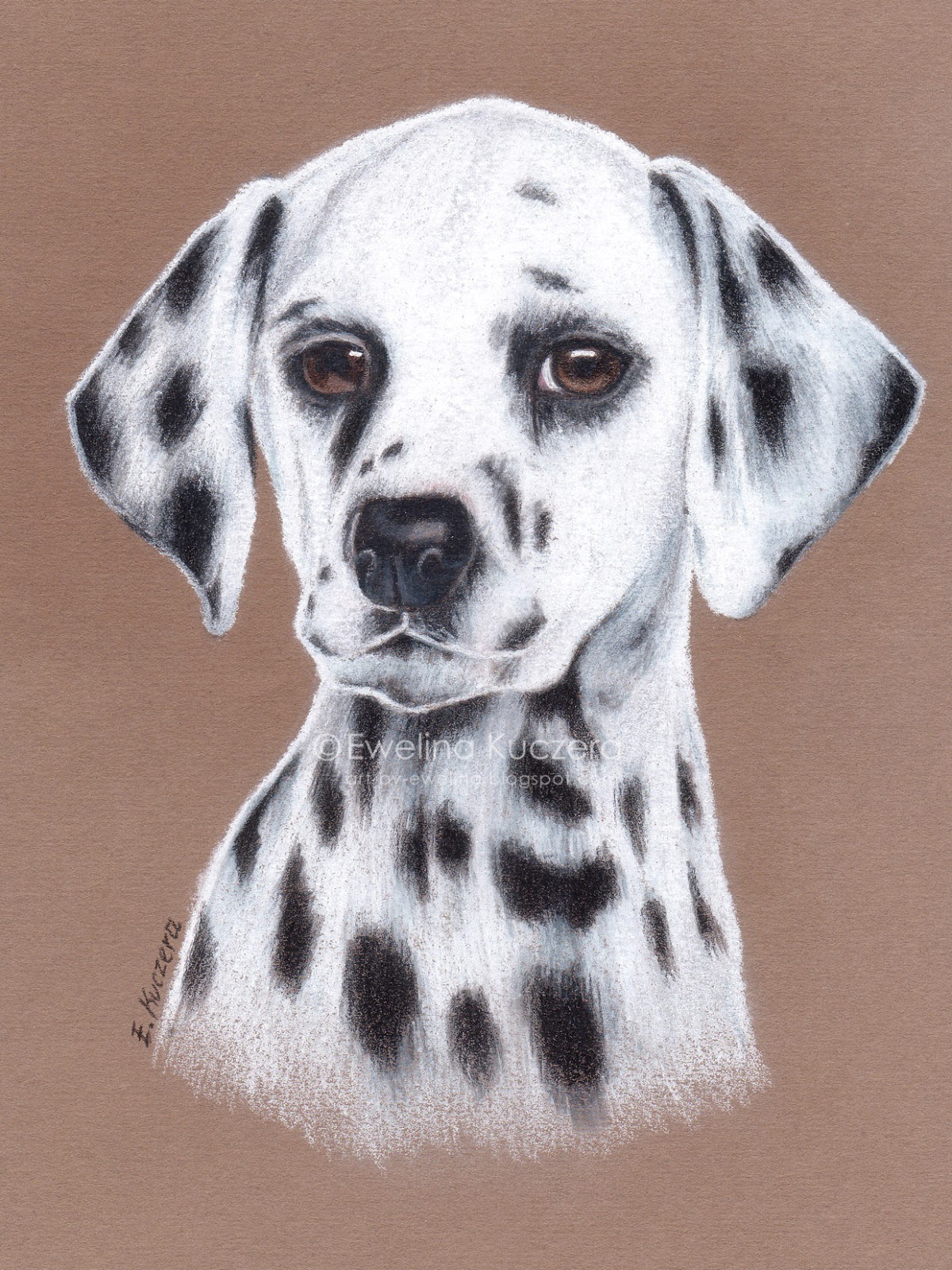 Artistic Blog - learn how to draw with colored pencils: Dogs