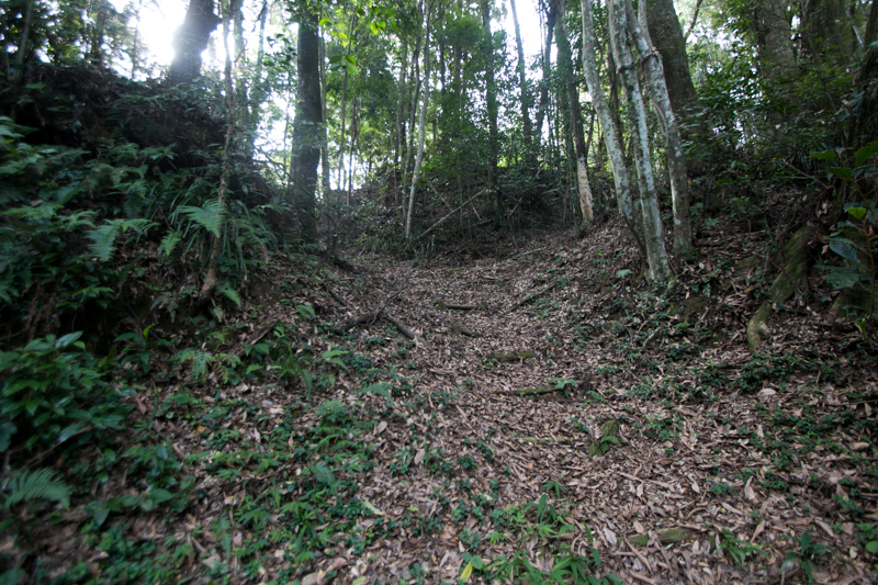 Sadowara Castle -Two-sided castle of two-sided domain- | Ken's Storage ...