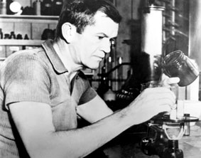 Marketing Cooperativo: Cooperación e Intercambio: Nacimiento del Multinivel