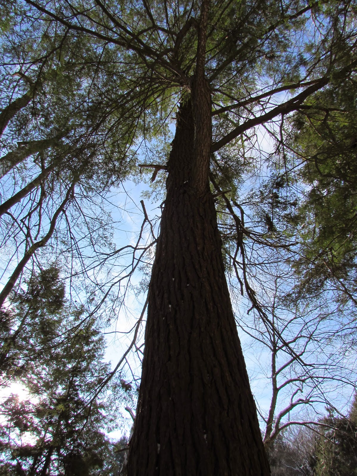 Snowy Drive Part 2: McConnell's Mill State Park Part 1 | Interesting ...