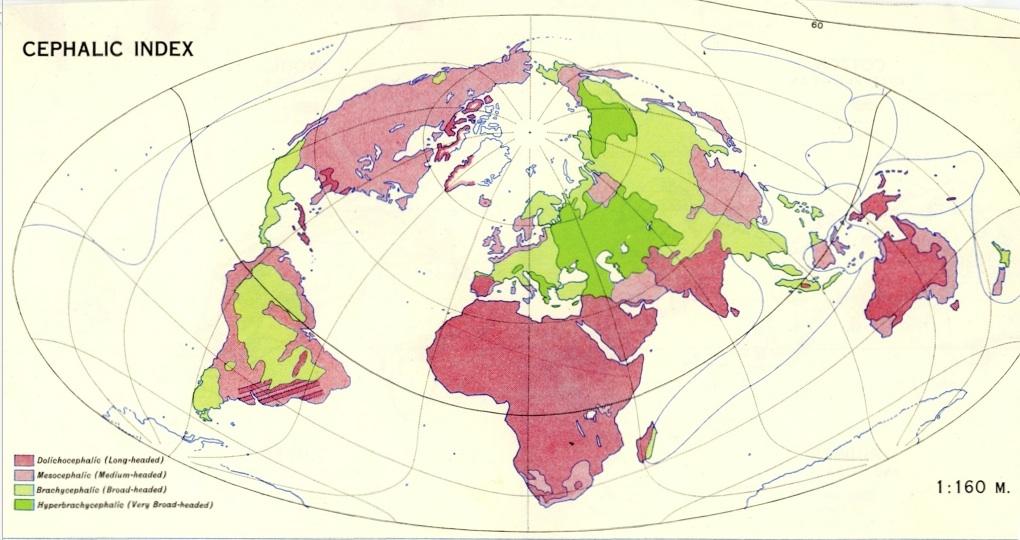 ΦΥΛΕΤΙΚΑ: Χάρτης κεφαλικού δείκτη στον πλανήτη - Γεωγραφικός Άτλας