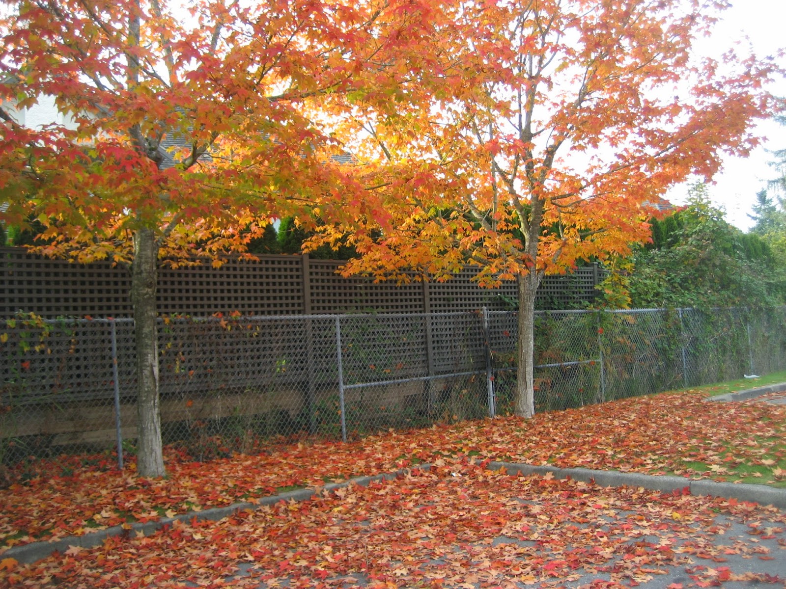 Artistic Handmade by Pattygloria: El otoño es mi estacion favorita ...