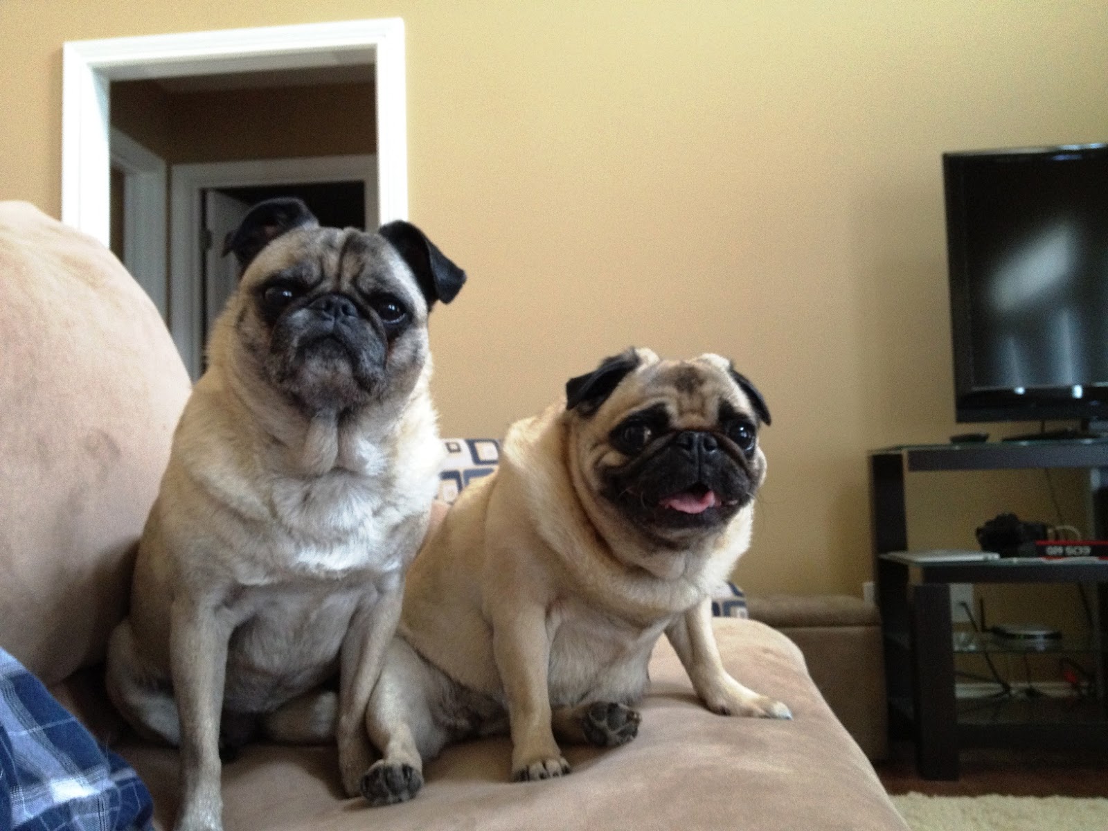 The Macy Dixie Line: June 2012