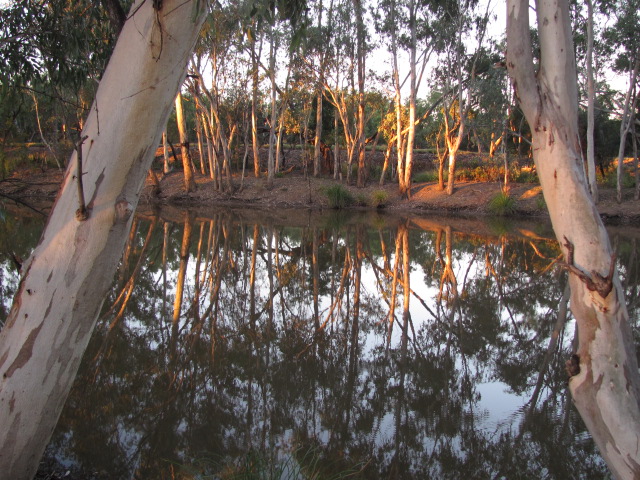 Robbiebago Adventures: Lloyd Jones Weir & Barcaldine