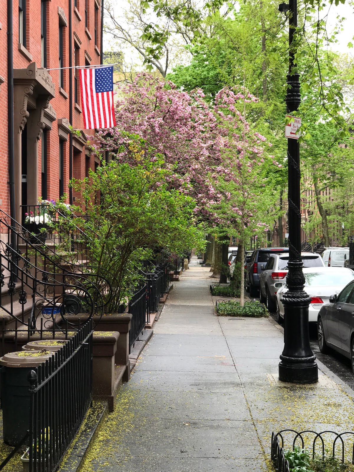 Springtime in Brooklyn