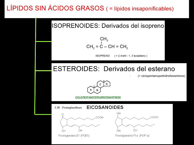 ...y la vida evolucionó: LÍPIDOS INSAPONIFICABLES- CLASIFICACIÓN ...