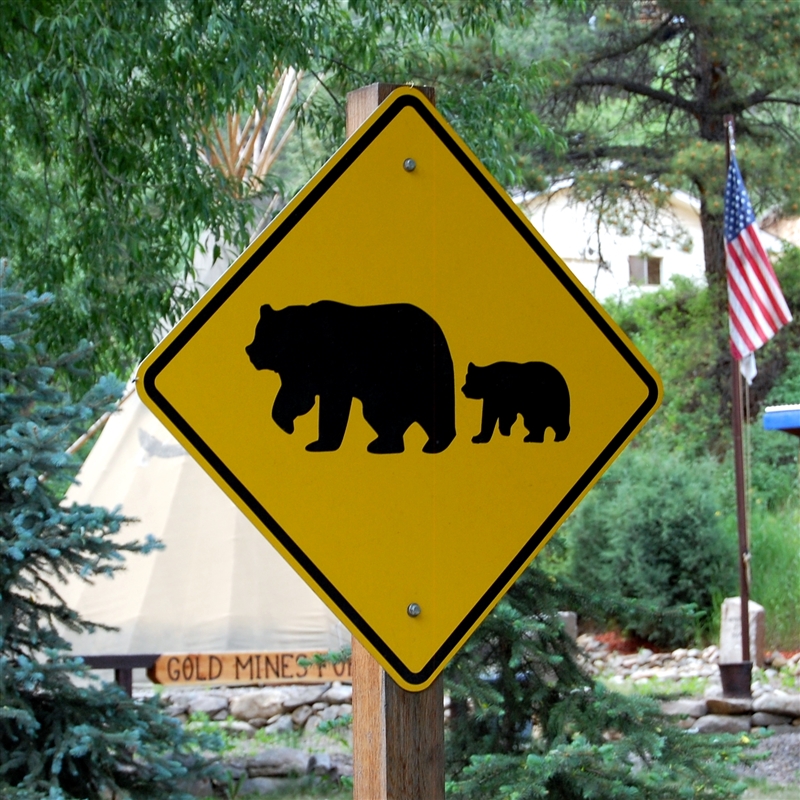 Capadia Designs: A trip to Colorado