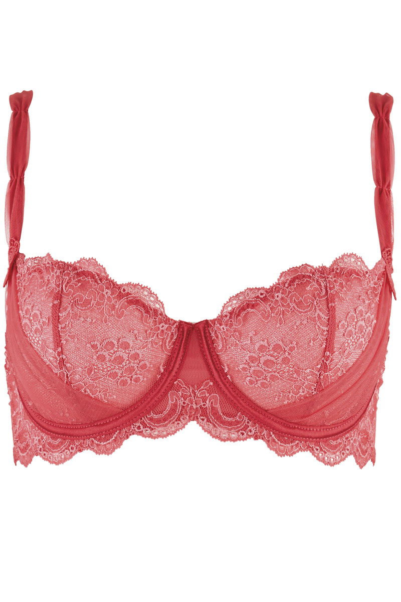 Honey Bee Lingerie Blog: FRENCH LEAVERS LACE NEVER LOOKED SO FEMININE ...