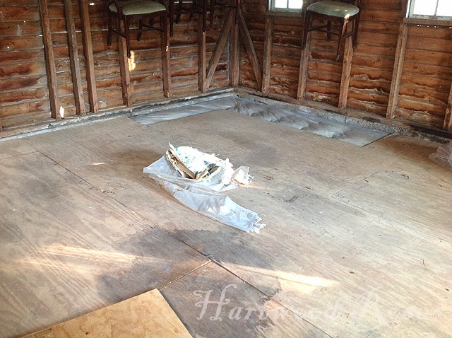 Hartwood Roses: Meanwhile, Out Back in the Shack ...