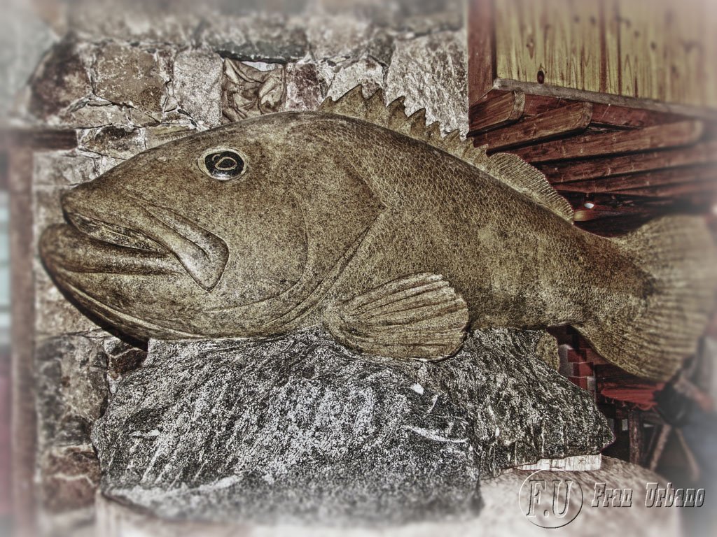 Otra Foto Mas "F.U": 2011