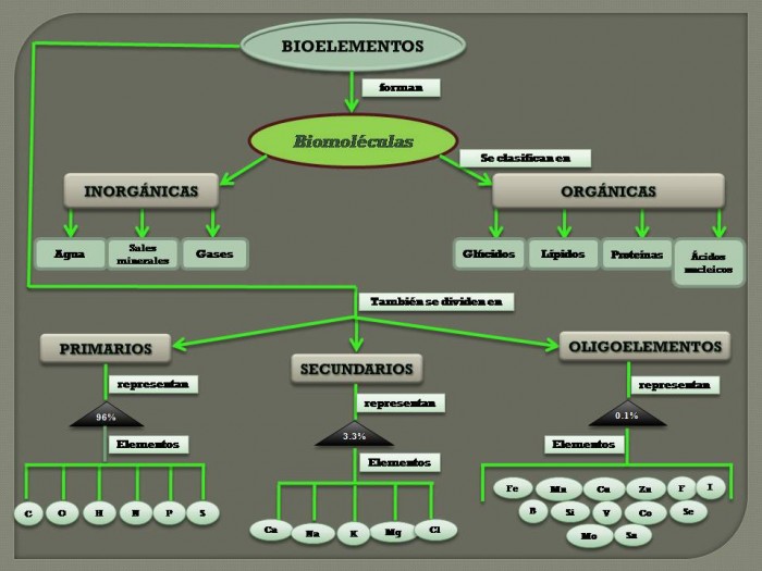 Mi primer articulo: Clasificación de los bioelementos orgánicos y sus ...