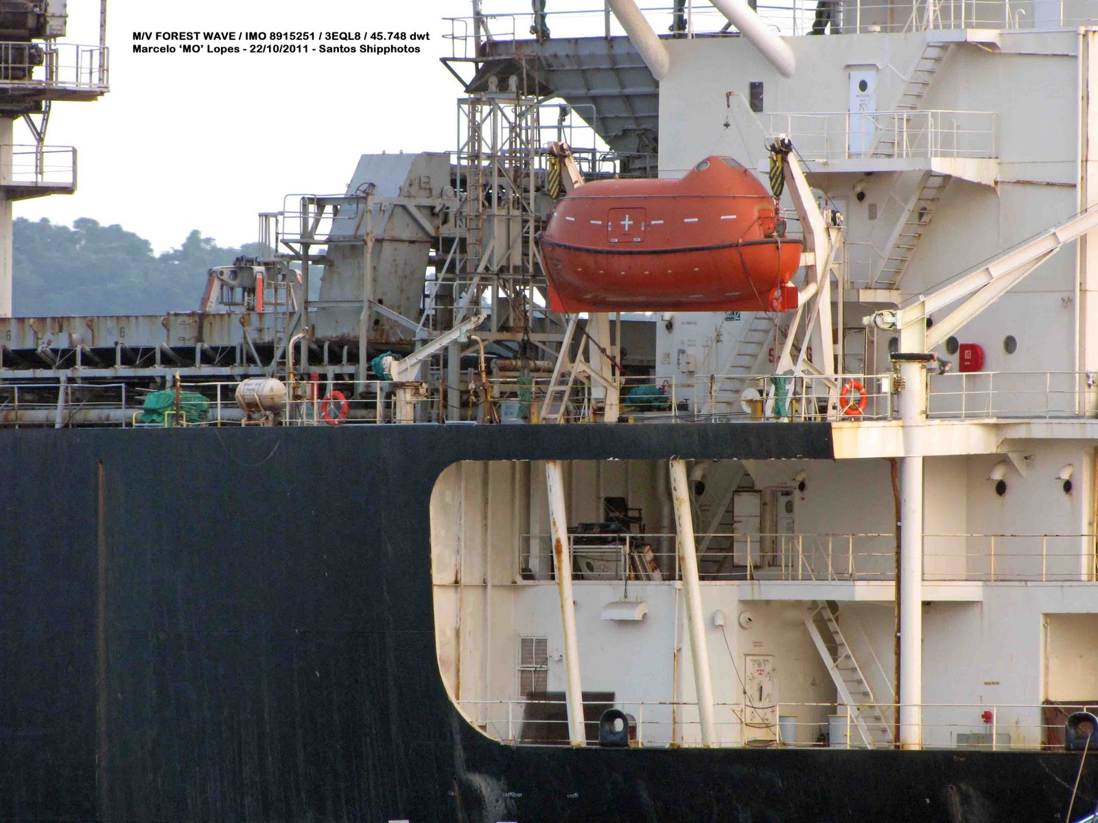 Santos Shiplovers: M/V Forest Wave / 3EQL8 - Um Wood Chip Carrier