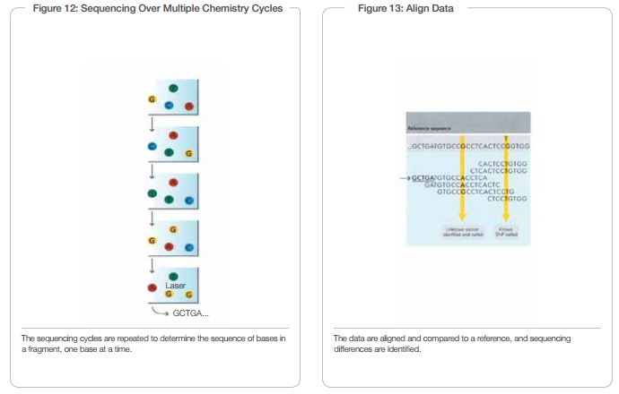 Playing with Sequences: Different platforms of Sequencing...Part III