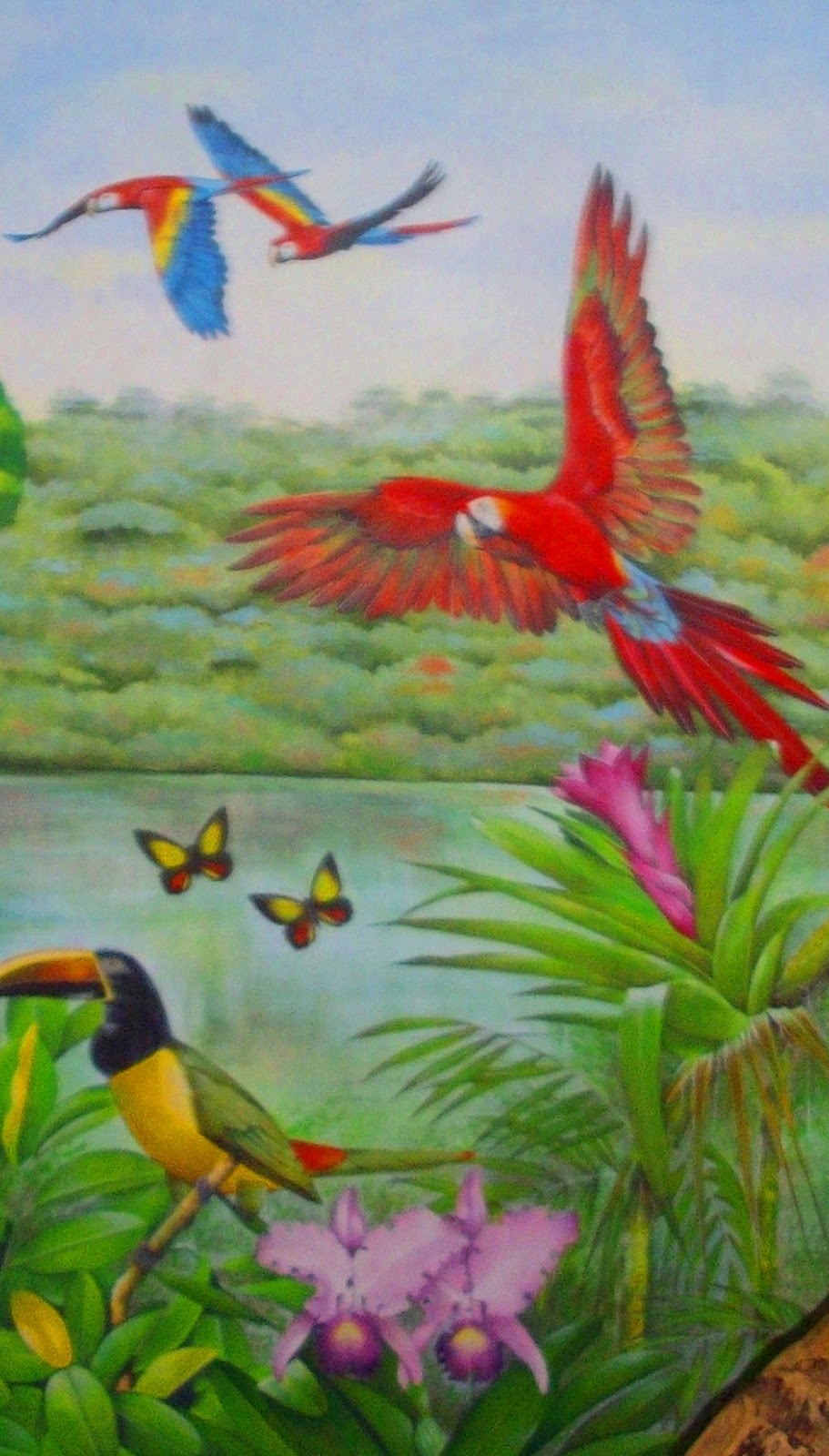 Pintura Moderna y Fotografía Artística : PAISAJES DEL AMAZONAS