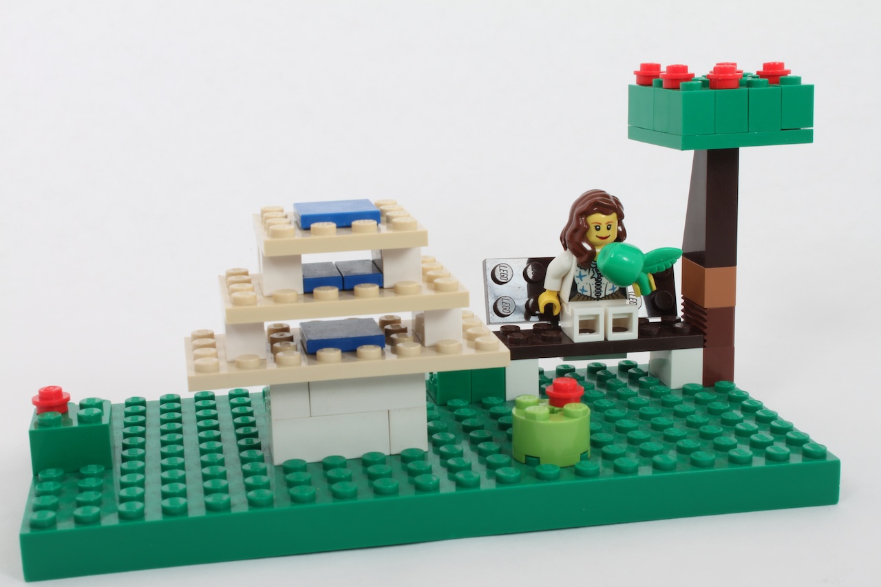 LEGO Quest Kids: Garden Photos