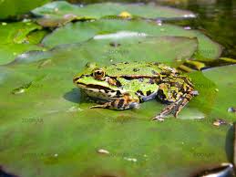 Licht-volle Tages-impulse: Tagesimpuls für Samstag den 21.09.2019