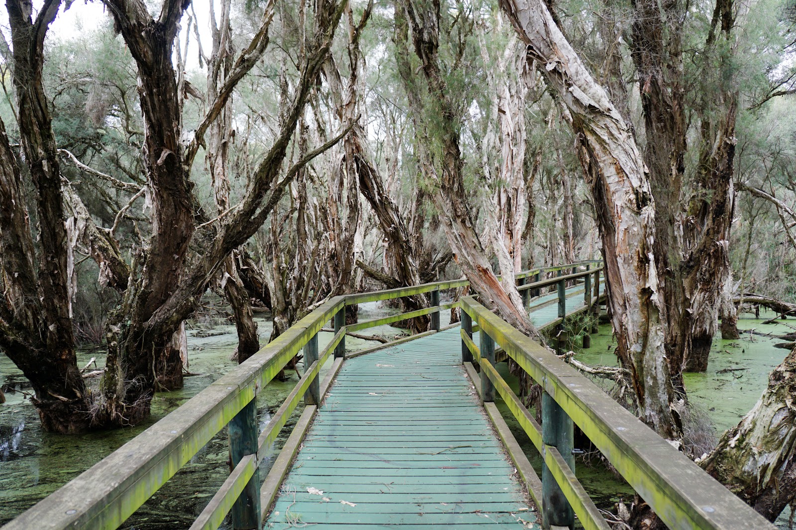 The Spectacles (Beeliar Regional Park) ~ The Long Way's Better