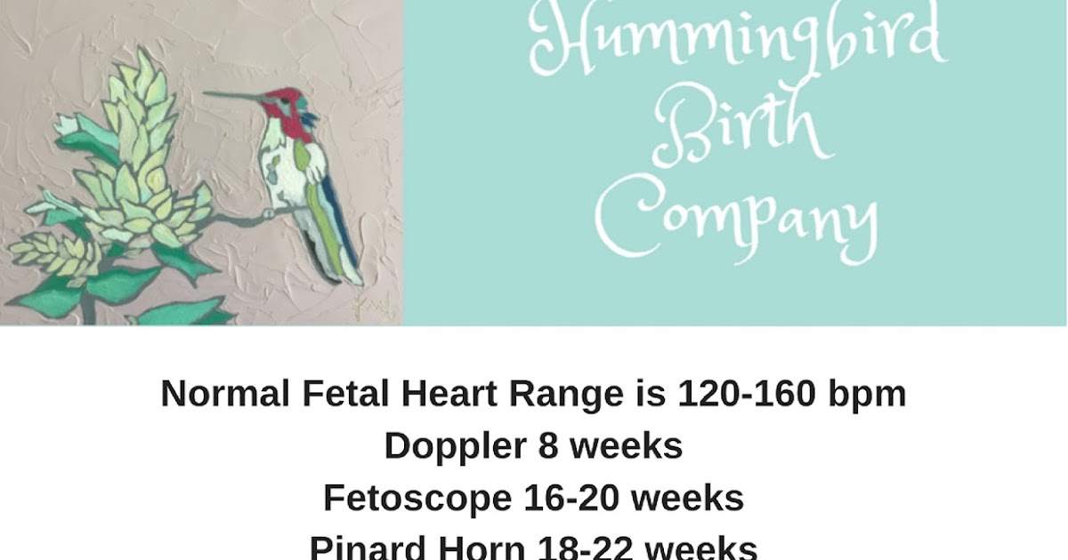 Normal Fetal Heart Tones