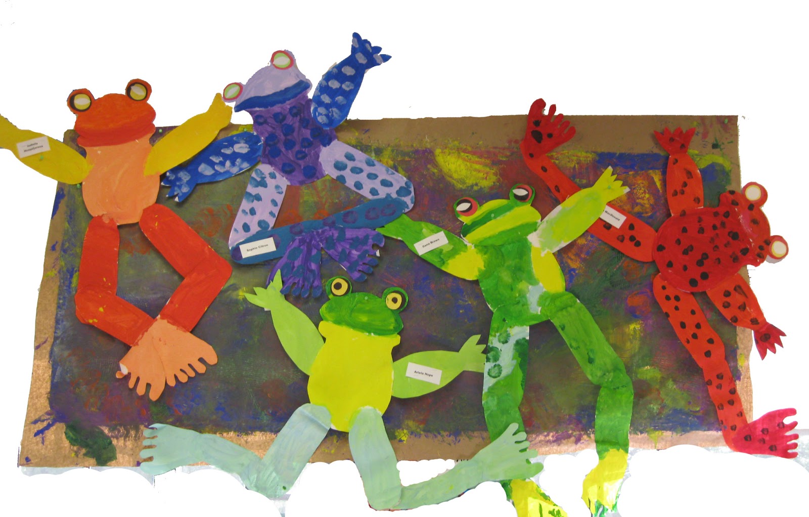 smARTcookie: Giant Rainforest Tree Frogs