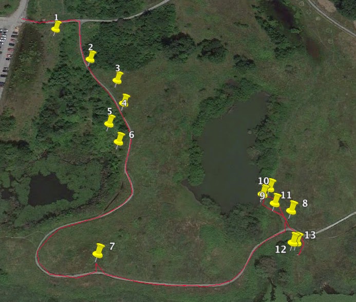 Allyson & Vicki's UBNA Group Project: A walking tour of the Union Bay ...