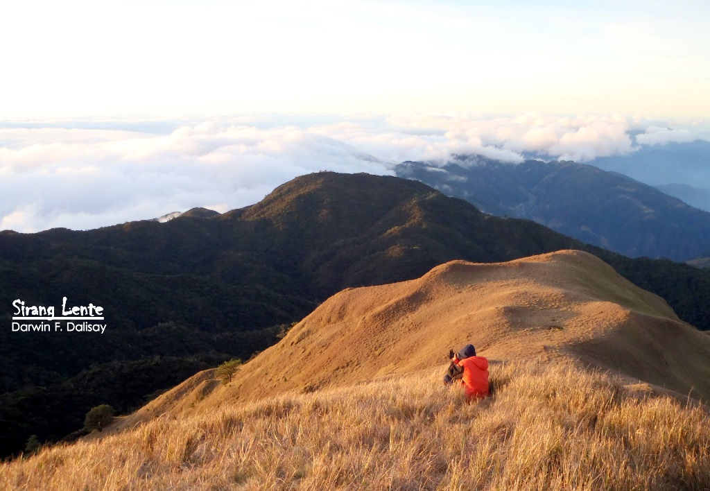 SIRANG LENTE: MT. PULAG, BENGUET (Updated Hiking Guide)