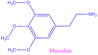 What is mescaline ? - PG.CHEMEASY