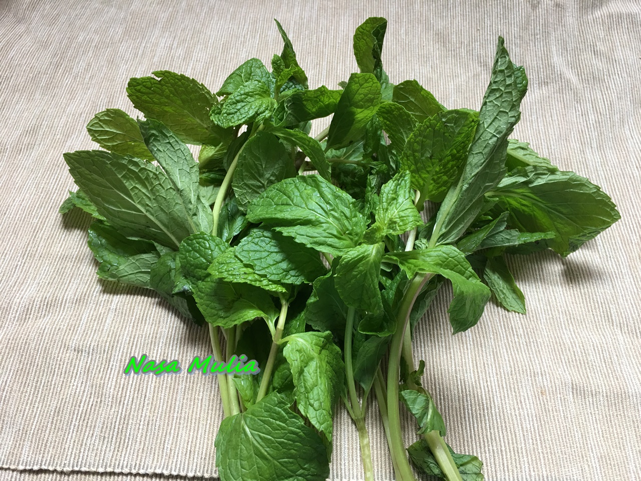 warna warni hidupku..............: Jom Kenali Pucuk-Pucuk / Herba ...