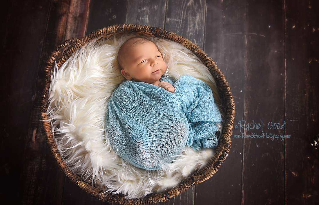 rachel good photography: Leo. 6 days new | first year of life client ...
