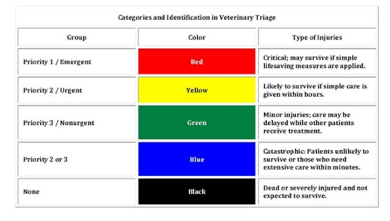 Capsular and Non Capsular pattern