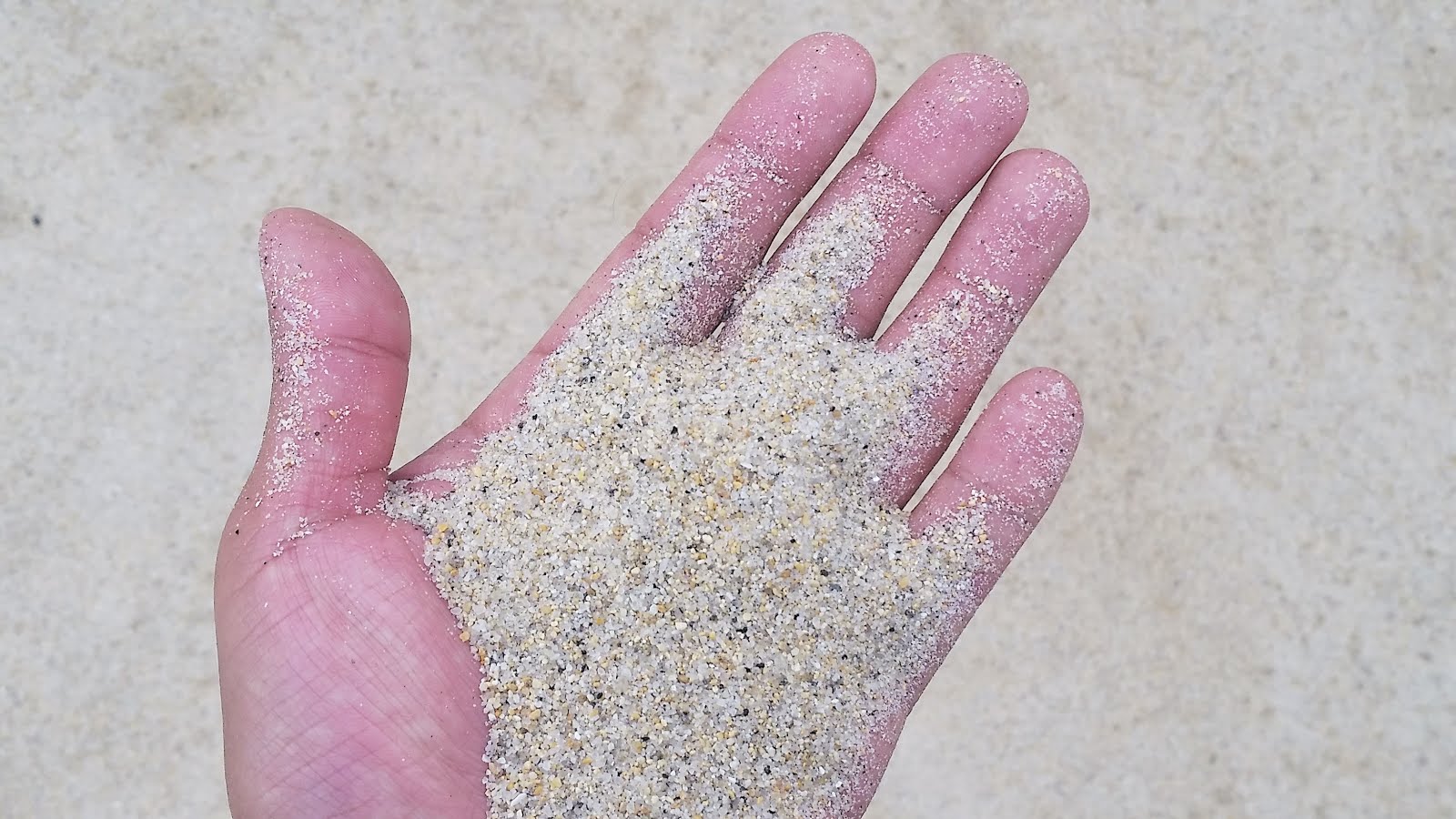 Marine Sediments: Lecture: Deep sea sediments