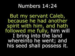 Prayer Pointers: Numbers 14:24 - Another Spirit