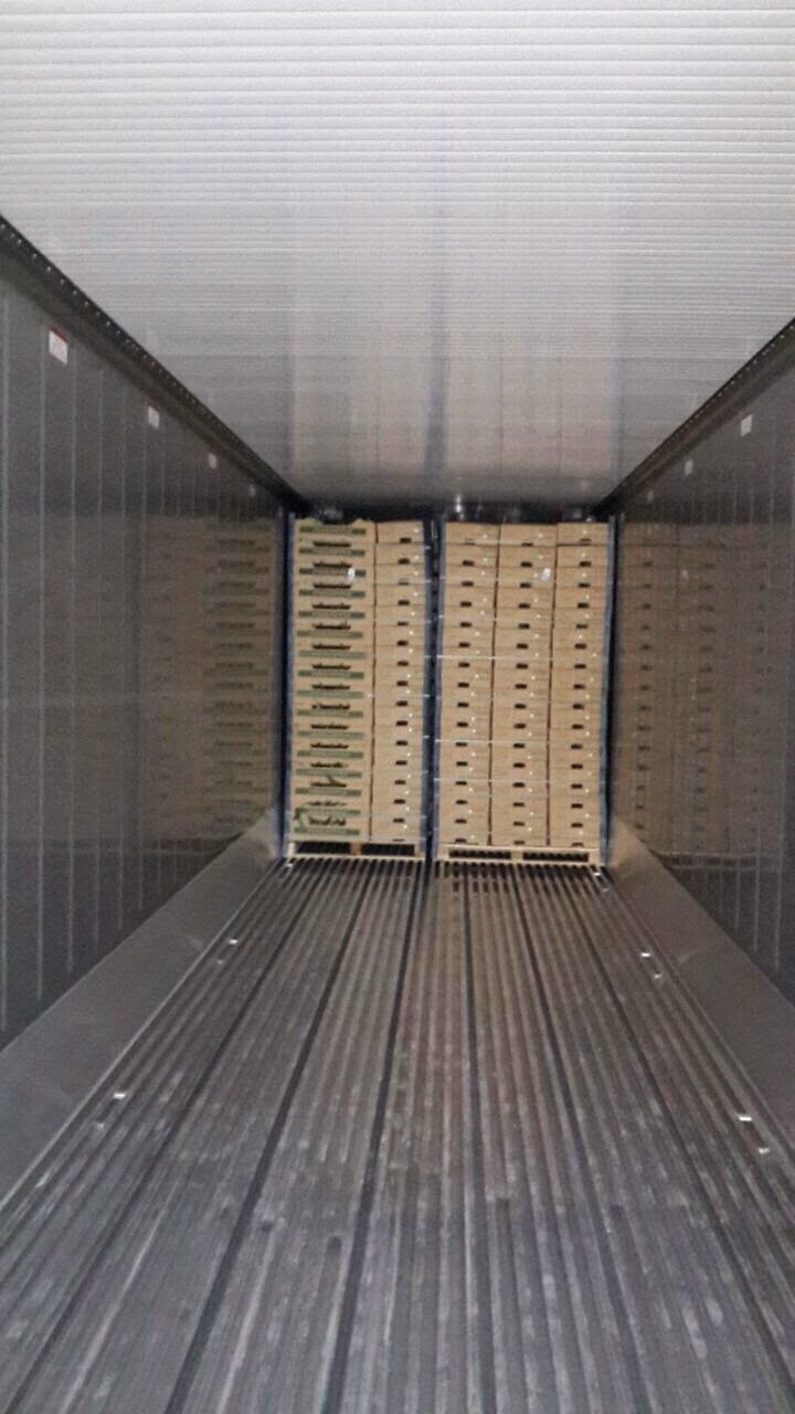 Costa Rica Invest: Packing Pineapple into Shipping Containers