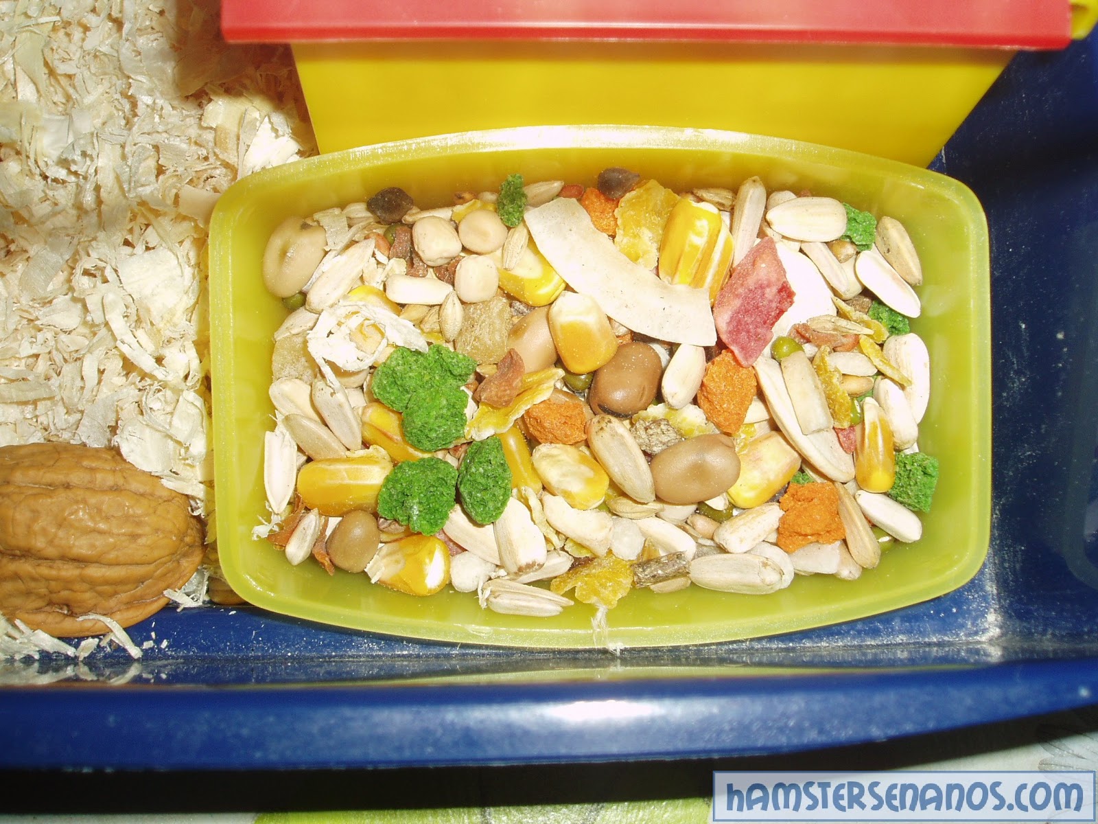 Cuidados de hamster: BIENVENIDOS A CUIDADOS DE TU HAMSTER