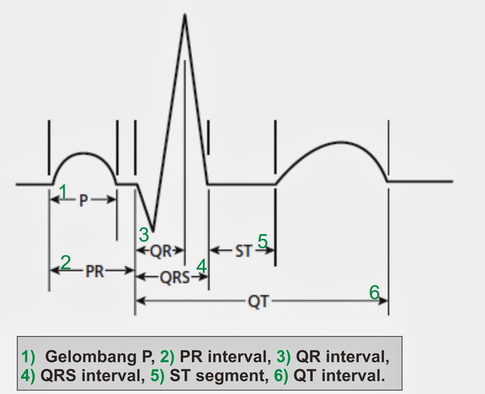 Interval Pada EKG