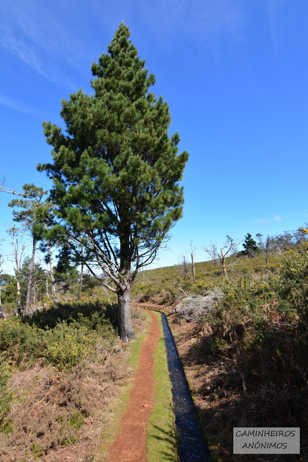 Caminheiros Anónimos Levadas da Madeira : Levada Grande (Achadas da Cruz)