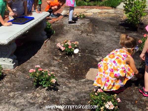 Investigating WORMS in Preschool
