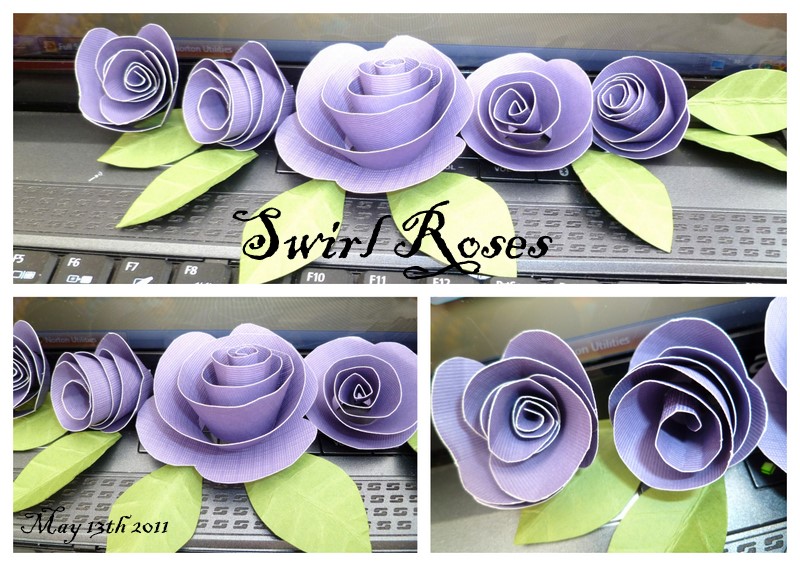 Susan Pinner: SWIRL ROSES, FLOWER LIGHT PROGRESS AND FLOWER PATTERN