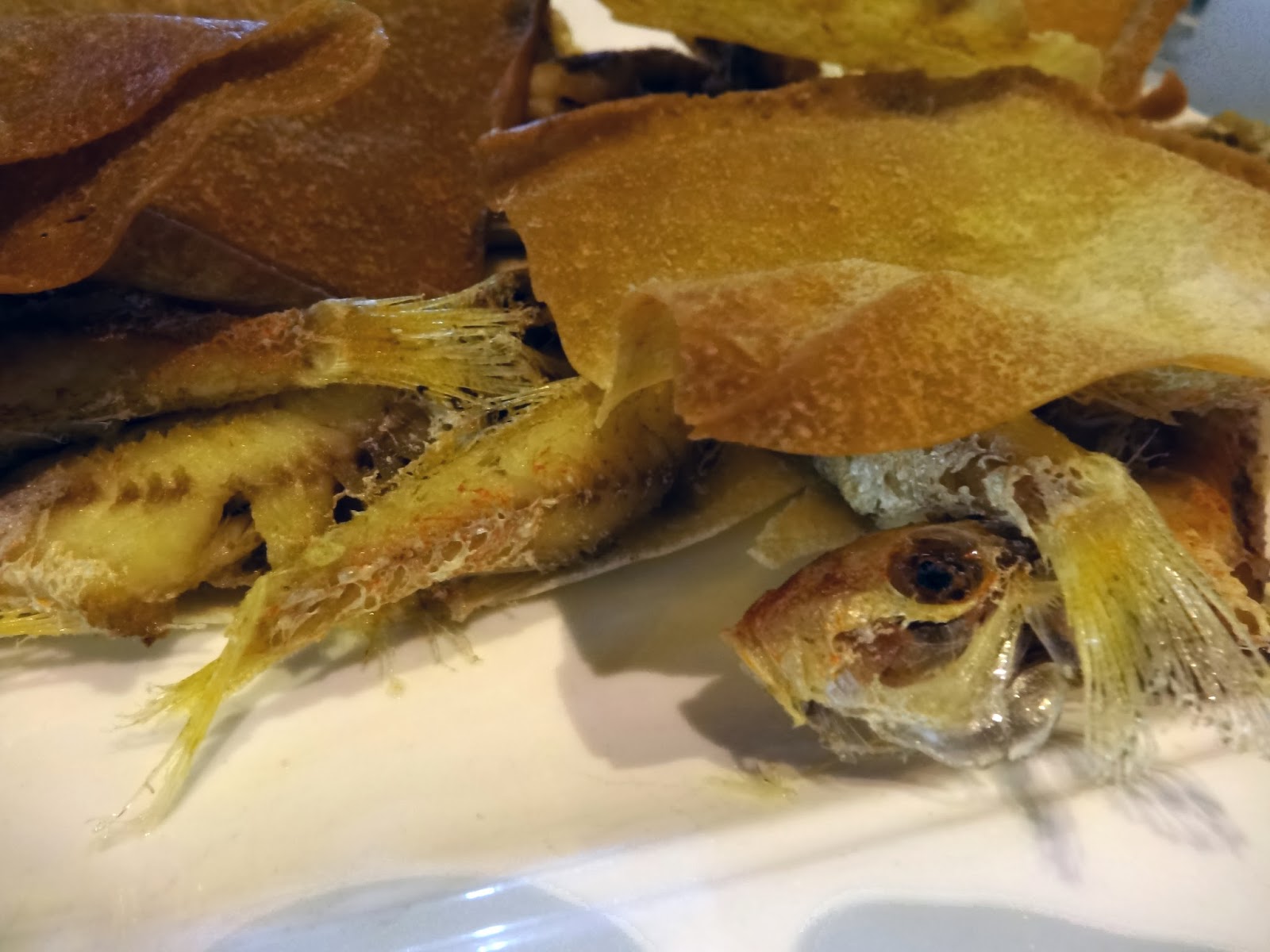 Natural History Museum of L.A. Minblog: Opening of the MIM museum in ...