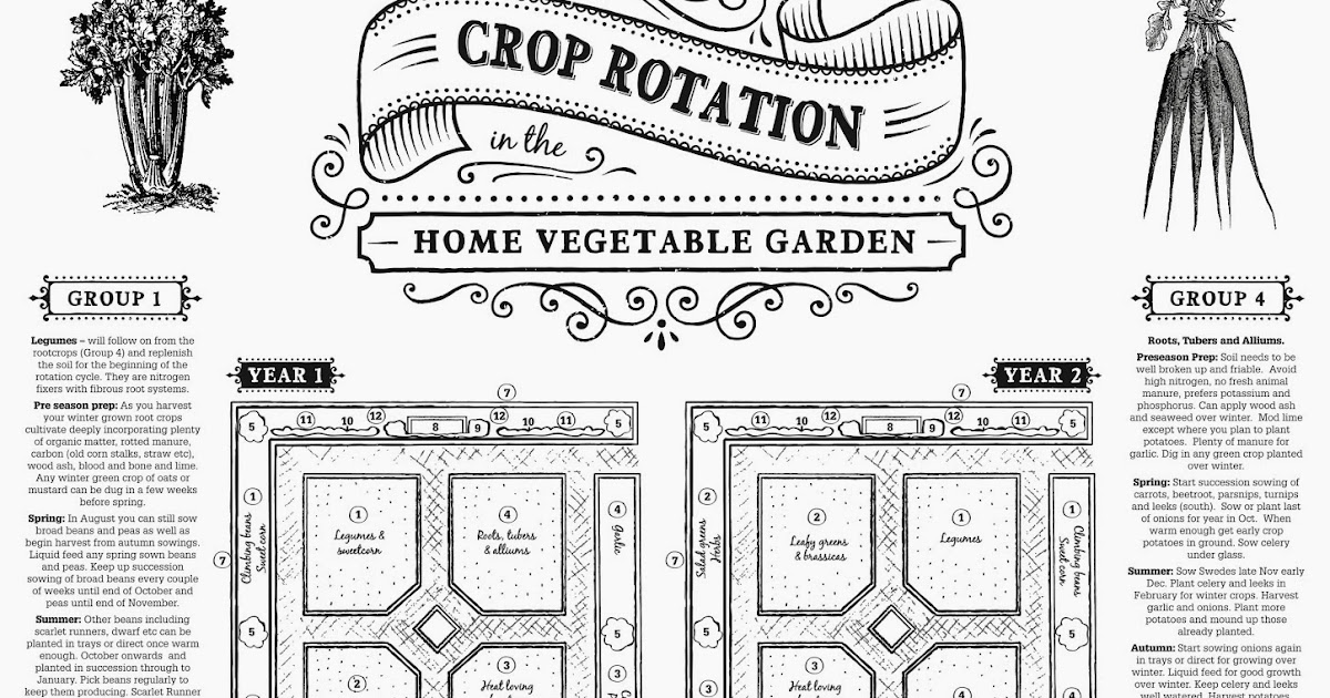 The Professional Countrywoman Garden Blog: Crop Rotation Poster