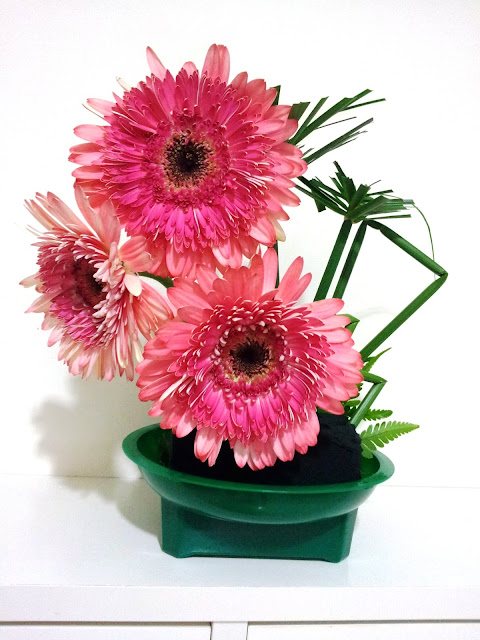 Singtatter's Corner: August Is The Month For Rushing ...