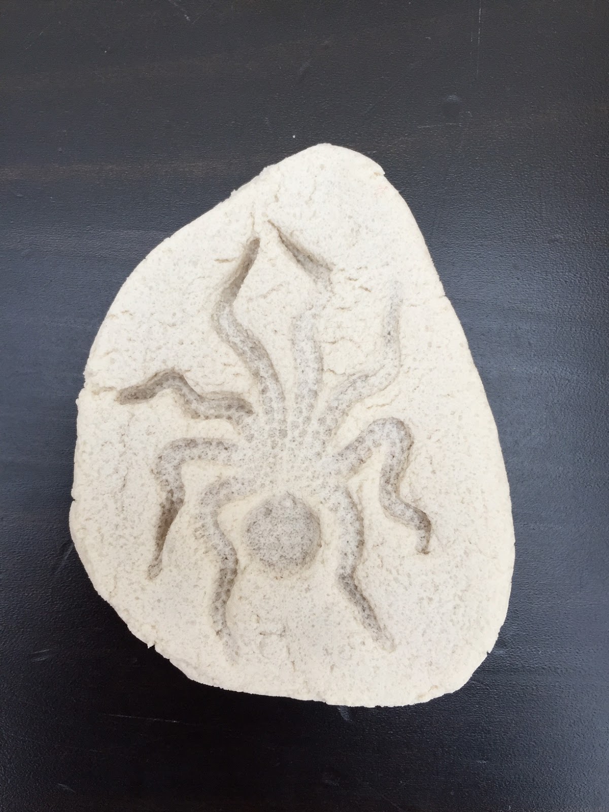 Wugs and Dooey: Matching Animals with their Fossils