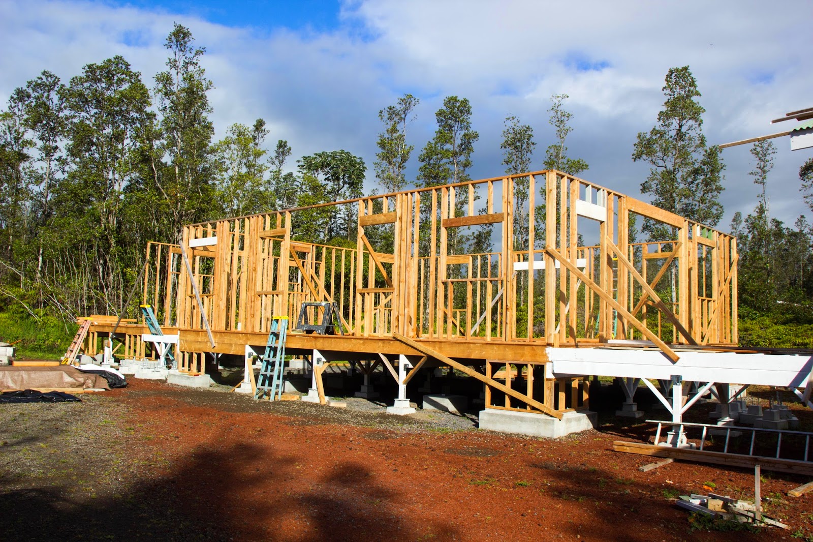 Big Island Living: Framing and Ohia Post Preparation