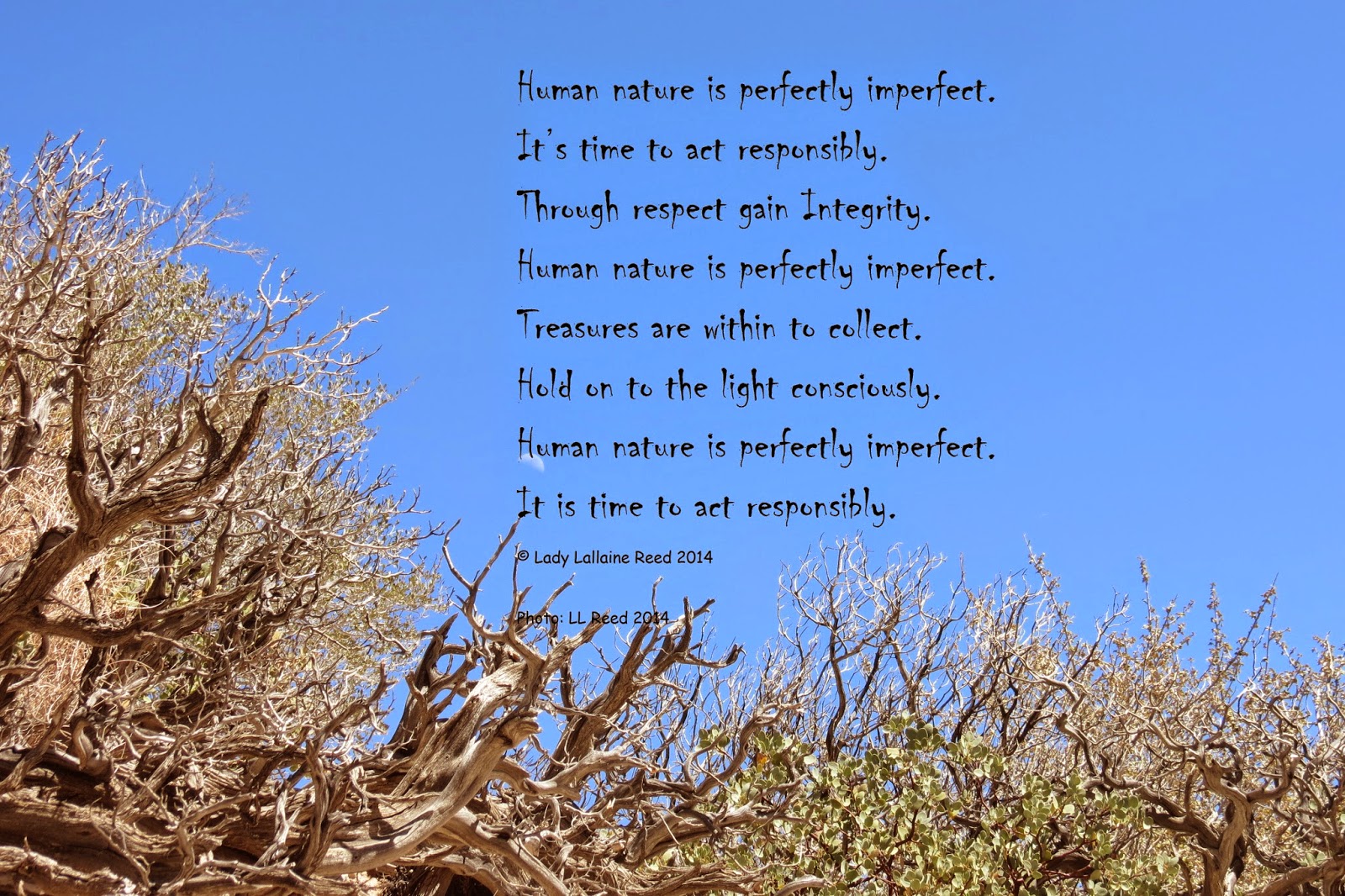 Lady Lallaine Reed's Positive