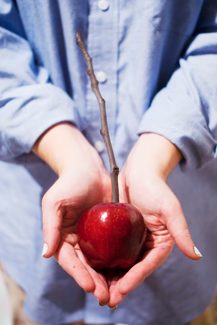 fox and gypsy: {red} candied apples