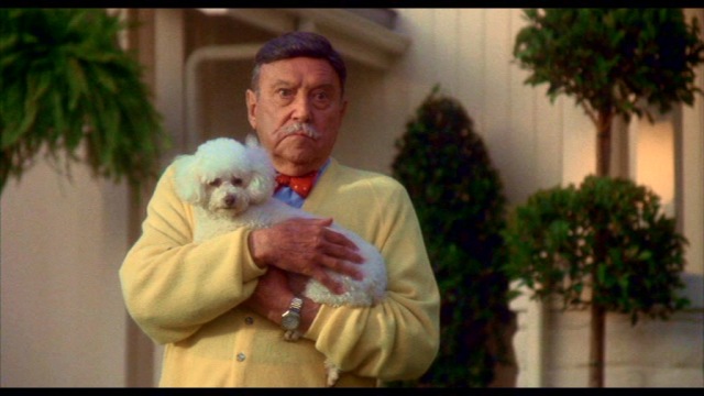 Shameless Pile of Stuff: Movie Review: The 'Burbs