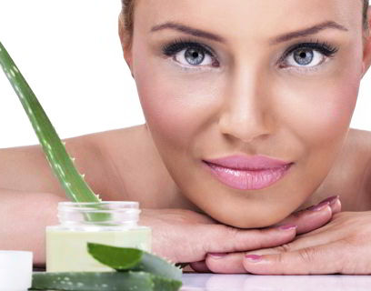 PENCABILA (cultivo y comercializacion de penca sabila): productos con ...