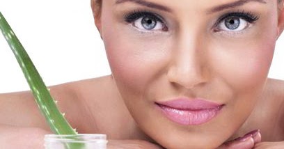 PENCABILA (cultivo y comercializacion de penca sabila): productos con ...