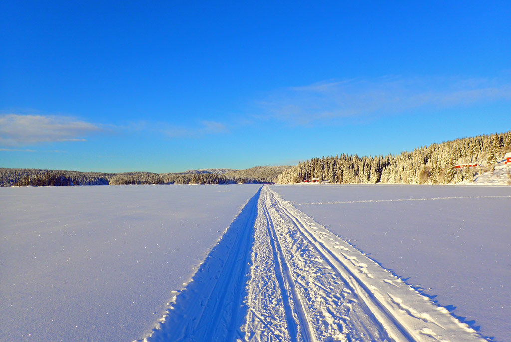 Tarjei's Villmark: Kald drømmedag i Nordmarka