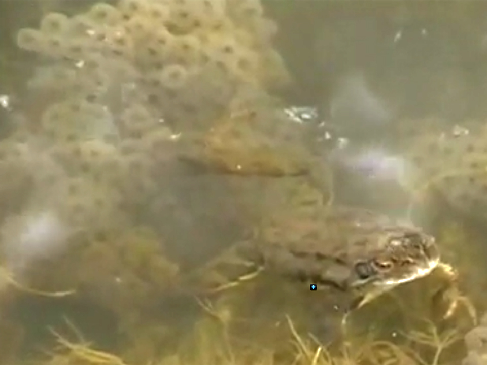 NACEDERO DEL UREDERRA RESERVA ENTRADAS GRATIS