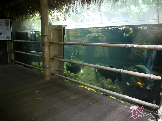 ekiBlog.com: weekend escape to Como Zoo :D